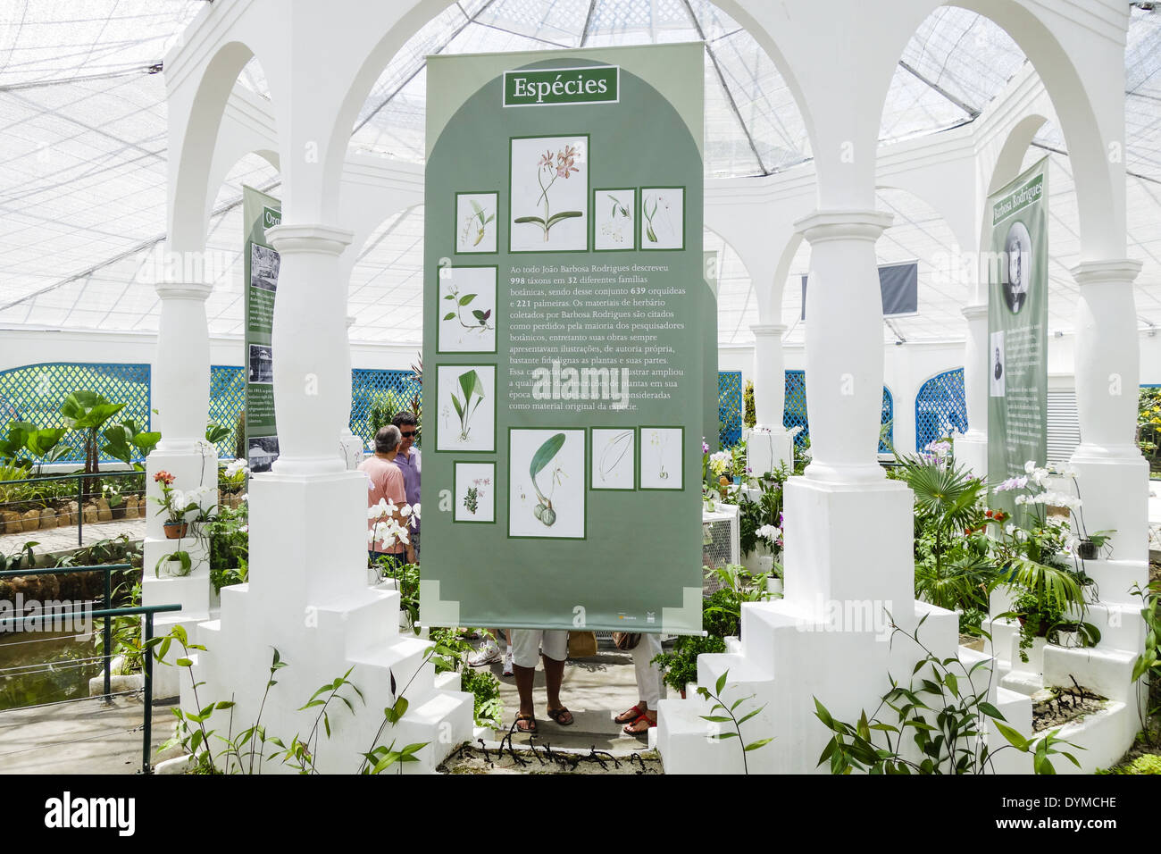 Rio de Janeiro, botanical garden, Jardim Botanico, Orchideario, Orchid ...