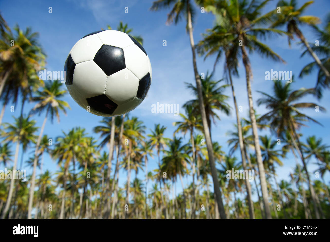 Football soccer ball flying in bright Brazilian blue sky above grove of ...