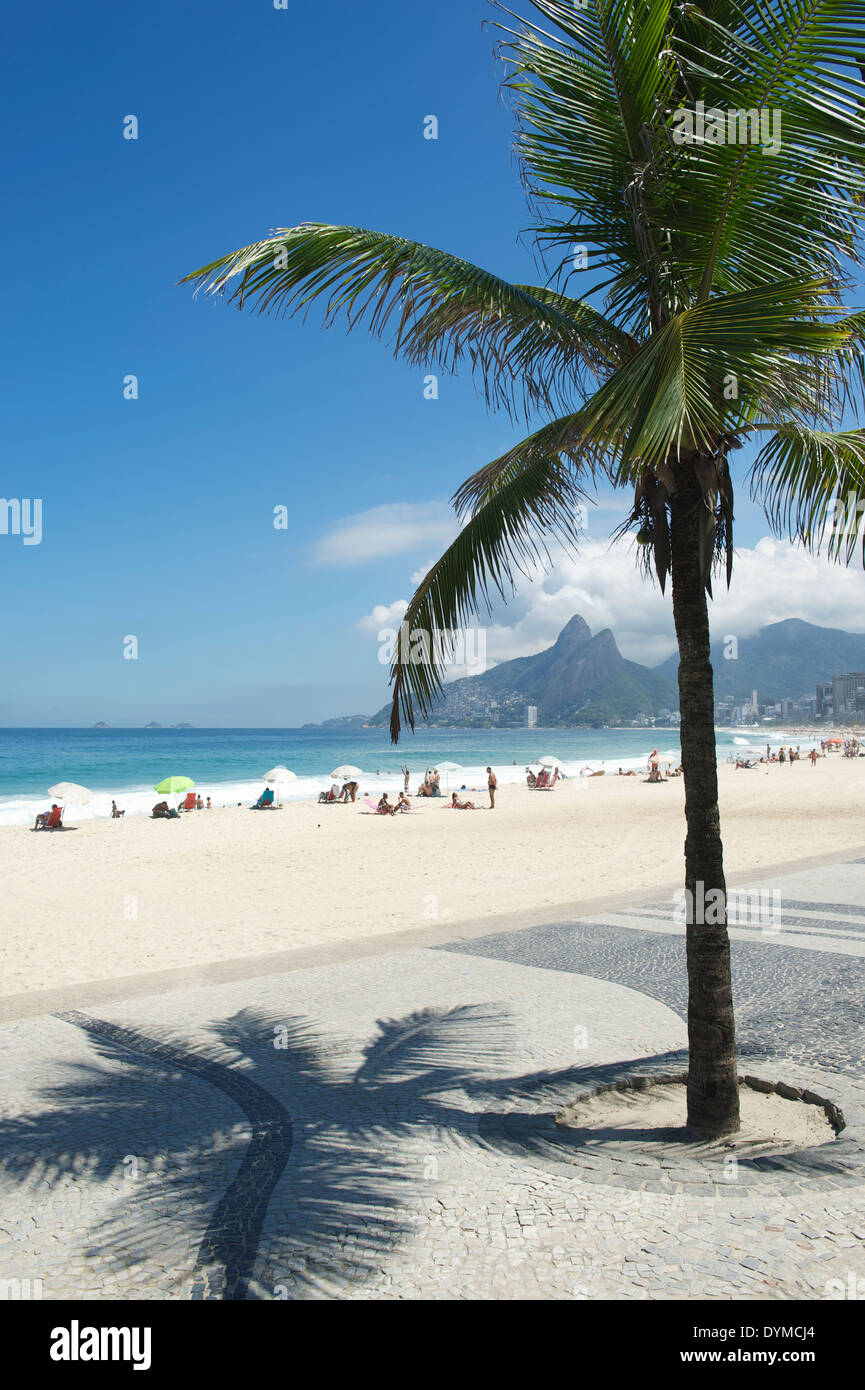 Ipanema Beach Rio de Janeiro view with palm tree at Arpoador Stock ...