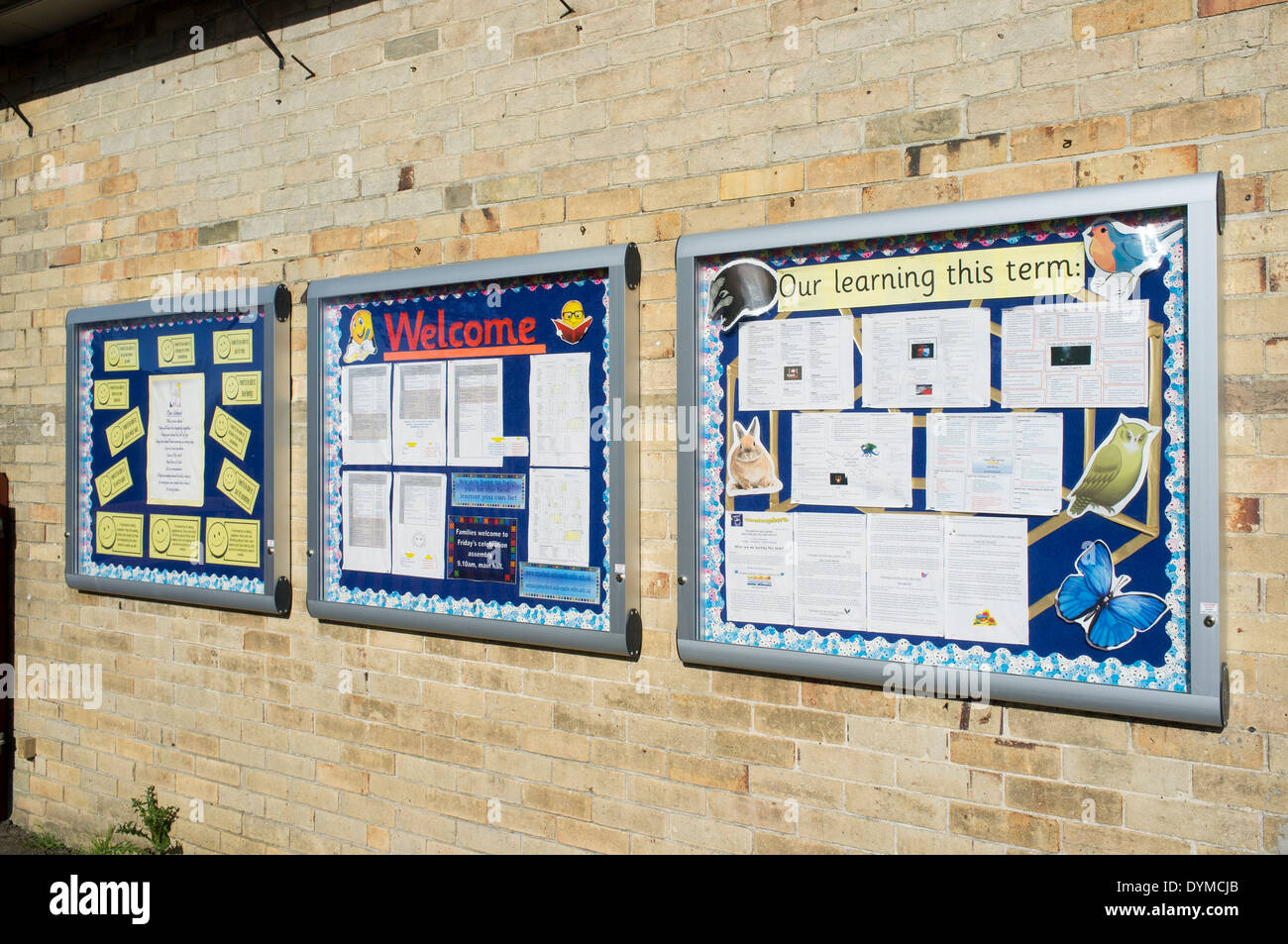 School notice boards Stock Photo - Alamy