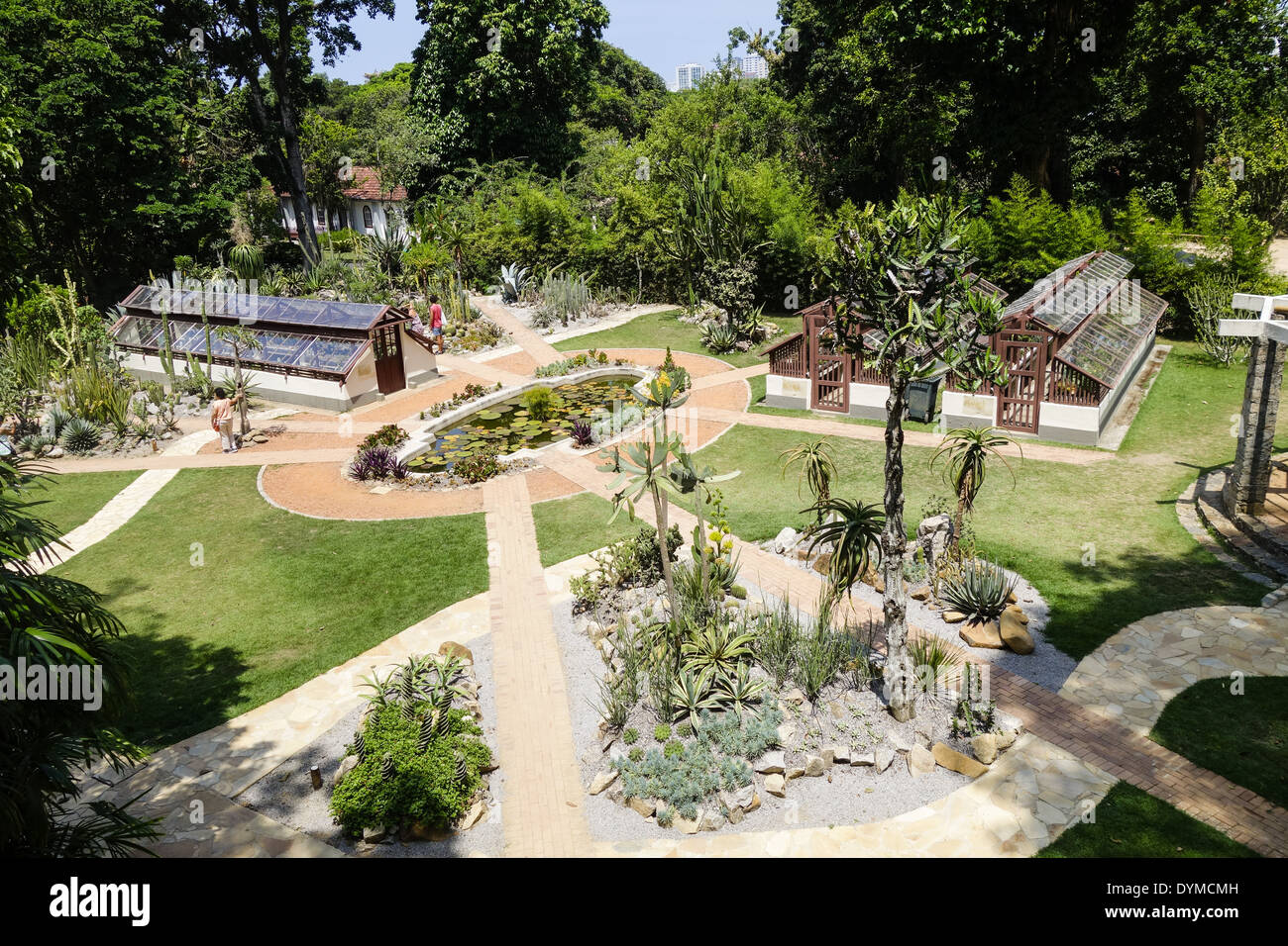 Rio de Janeiro, botanical garden, Jardim Botanico, Brazil Stock Photo ...