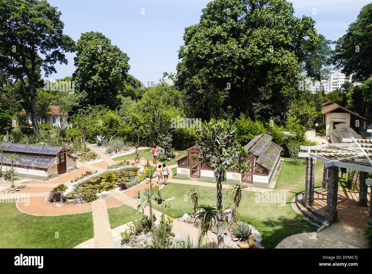 Rio de Janeiro, botanical garden, Jardim Botanico, Brazil Stock Photo ...