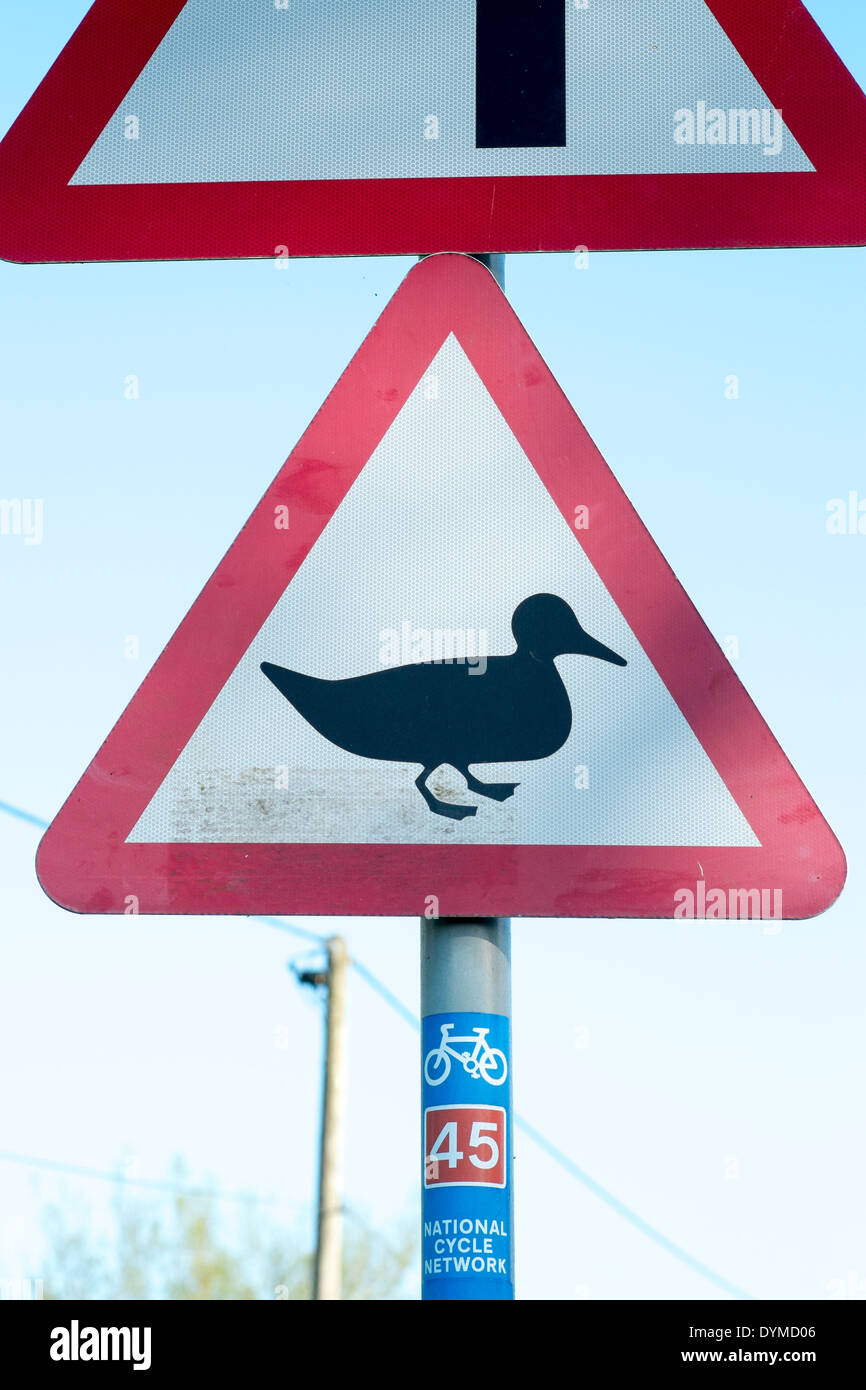 Red triangle warning sign ducks hi-res stock photography and images - Alamy