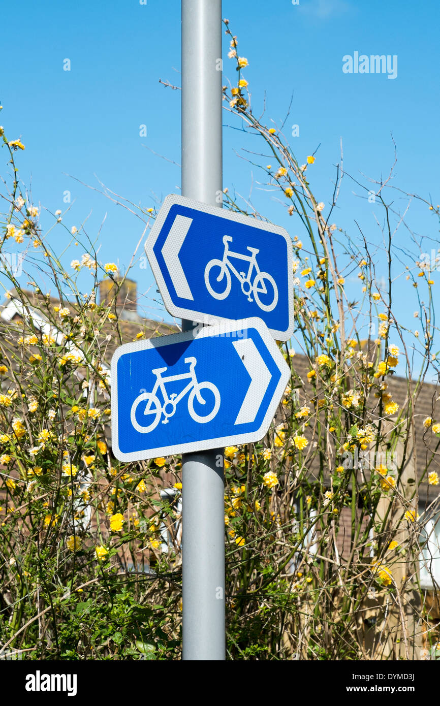 UK blue cycle route signs attached to lamp post Stock Photo - Alamy