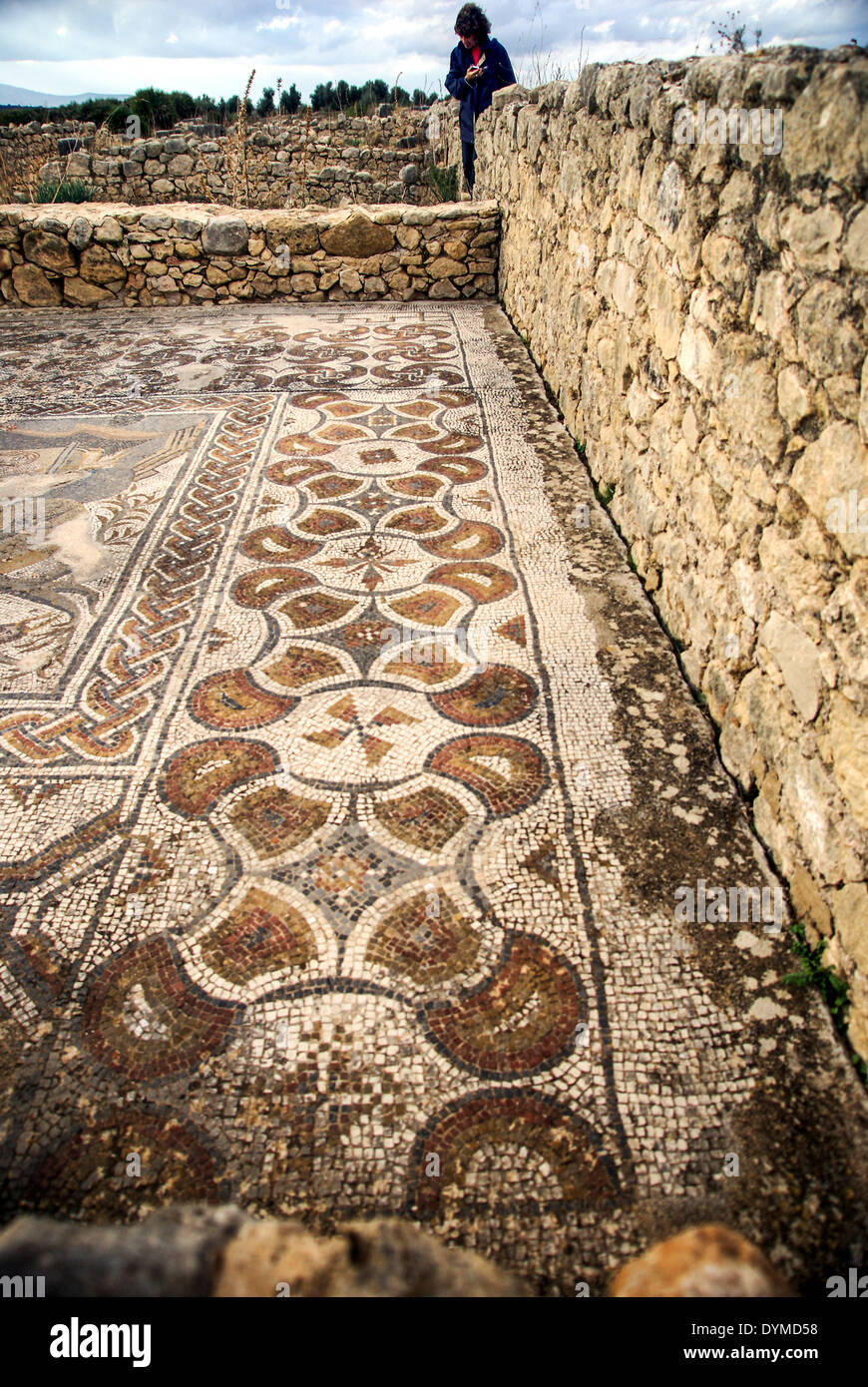 Morocco, Roman Ruins at the Volubilis Archeological Site Mosaicc floor ...