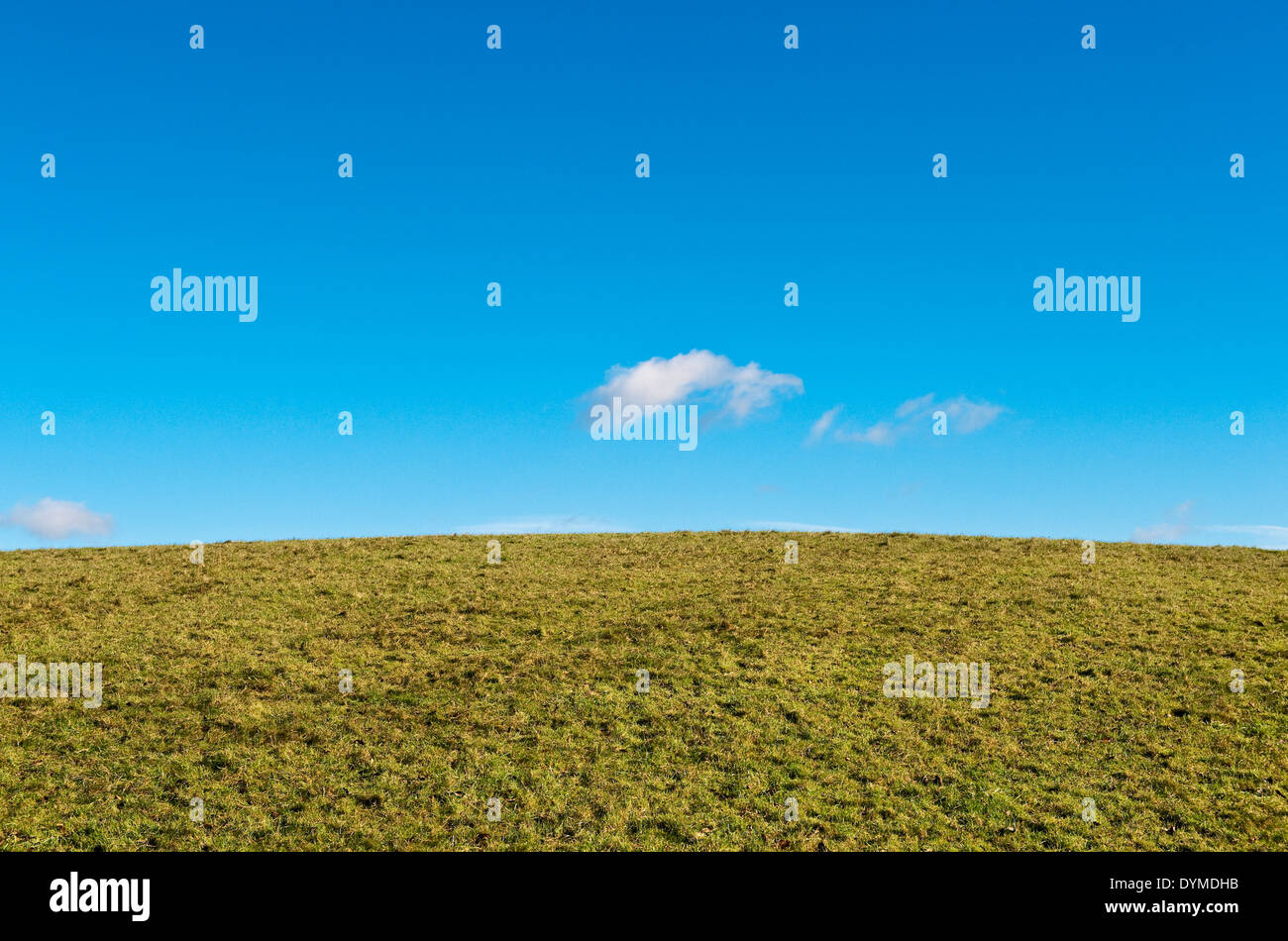 Grass skyline hi-res stock photography and images - Alamy