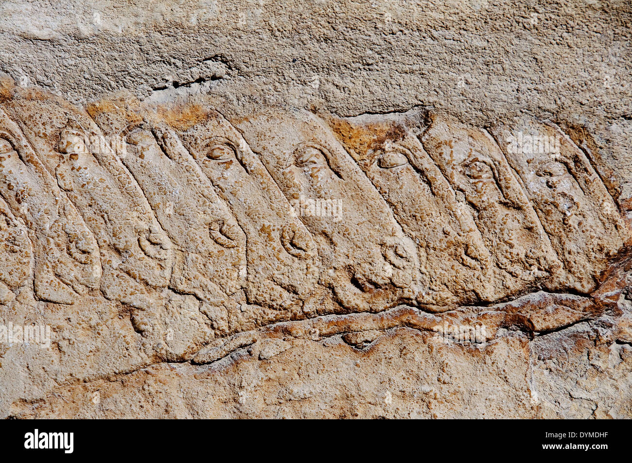 Donkeys carved in a tomb near the Great Pyramid at El Giza, Cairo Stock ...