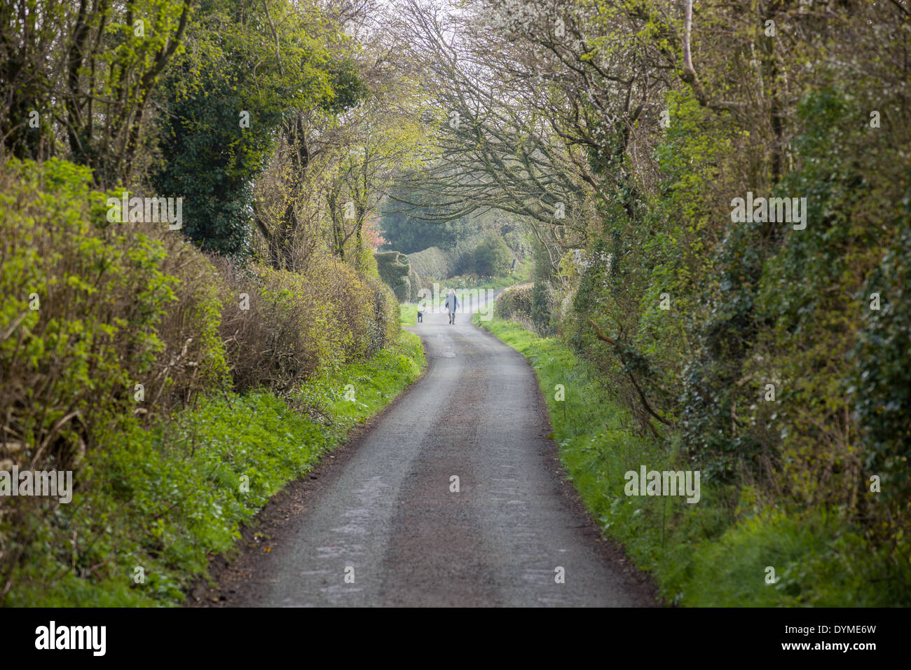 Dog topiary hi-res stock photography and images - Alamy