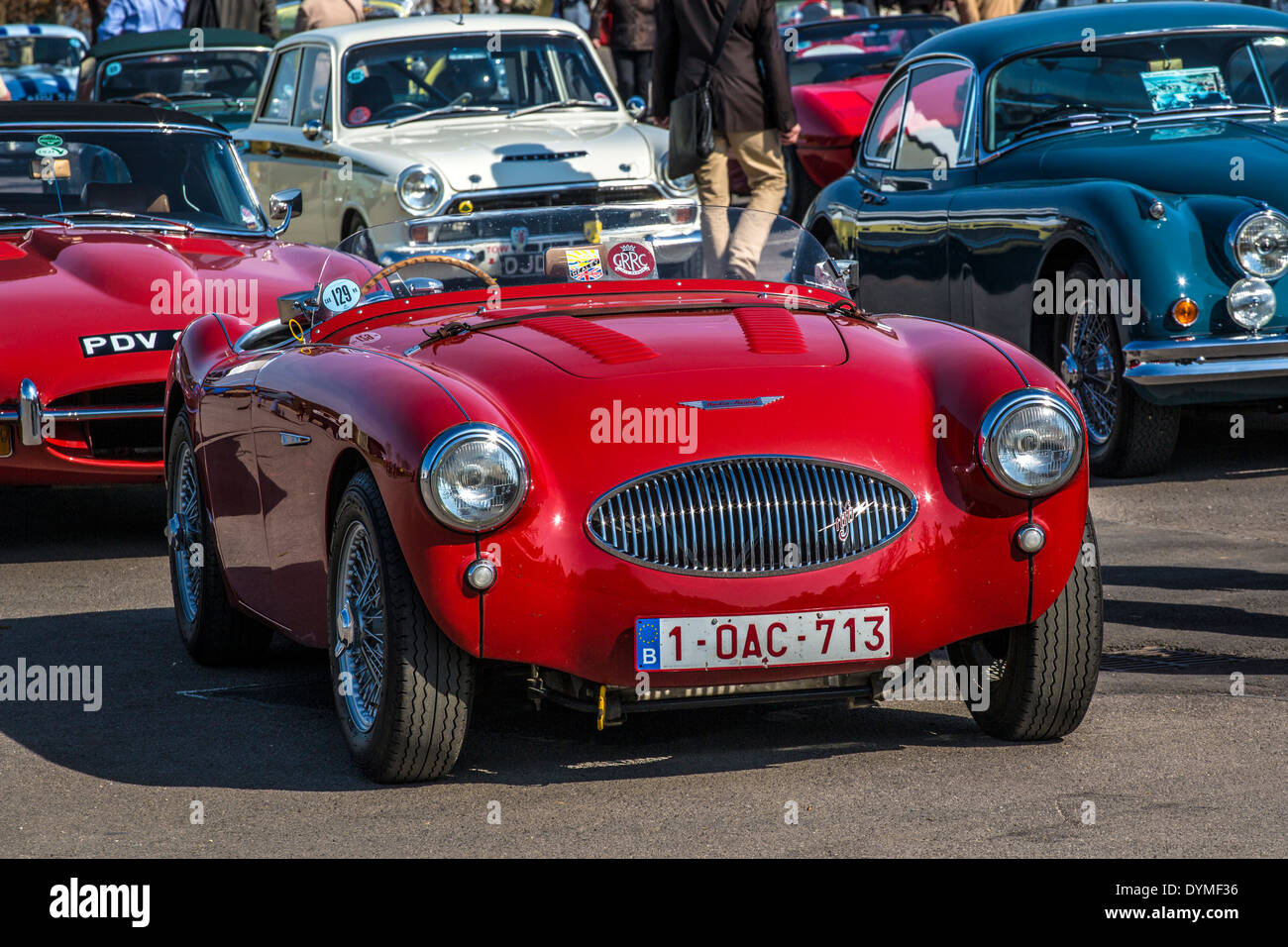 1950's Austin Healey 100 at 72nd Goodwood Members meeting, Sussex, UK ...