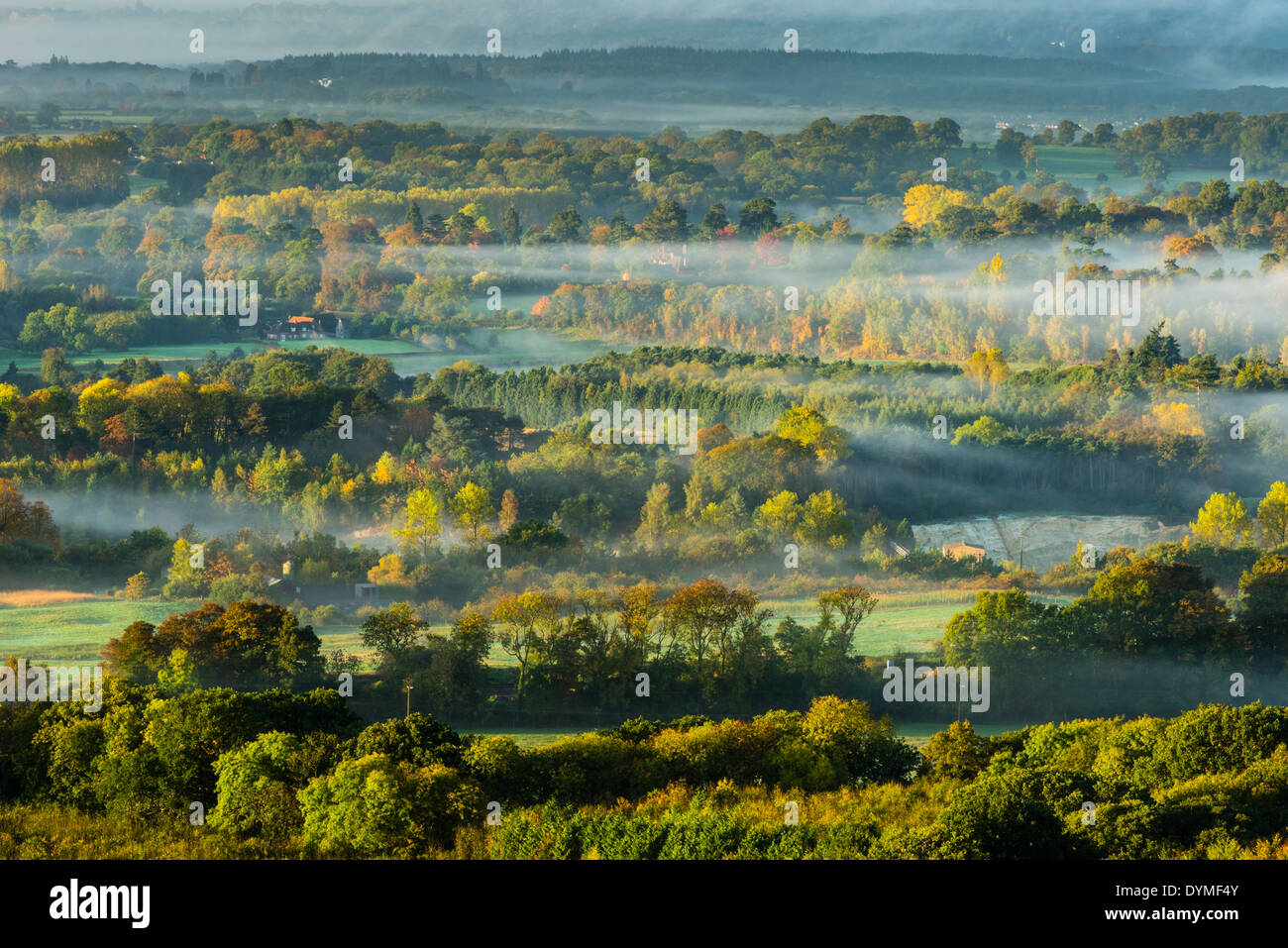 View of Surrey Hills from Colley Hill, Reigate, Surrey, UK Stock Photo ...