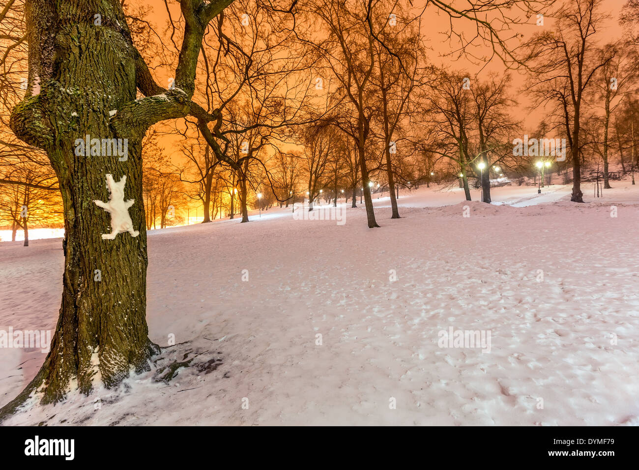 Rabbit tree trunk hi-res stock photography and images - Alamy