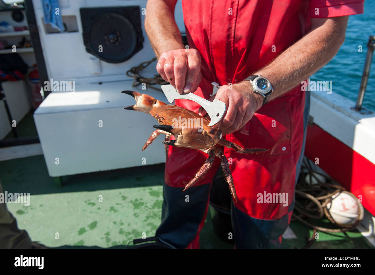 Minimum landing size hi-res stock photography and images - Alamy