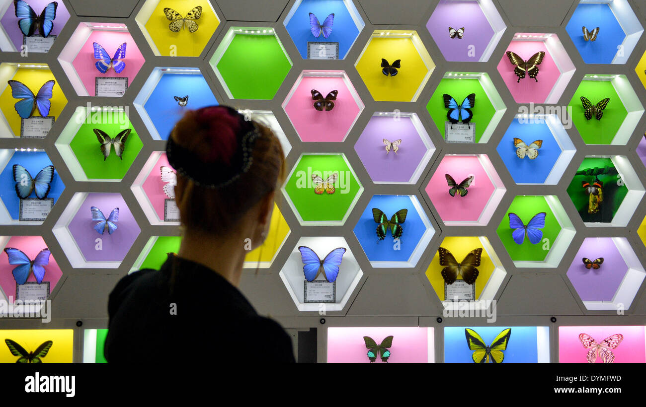 Changsha, China's Hunan Province. 22nd Apr, 2014. A visitor looks at ...