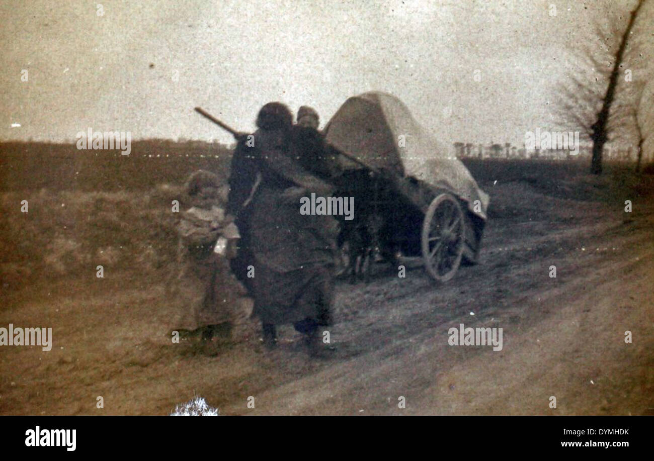 Robert Williams Collection 00132 Stock Photo - Alamy