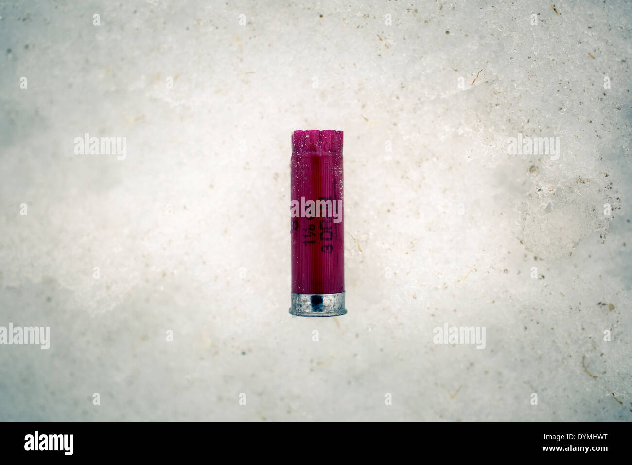 A used shotgun shell sits abandoned in the snow Stock Photo - Alamy