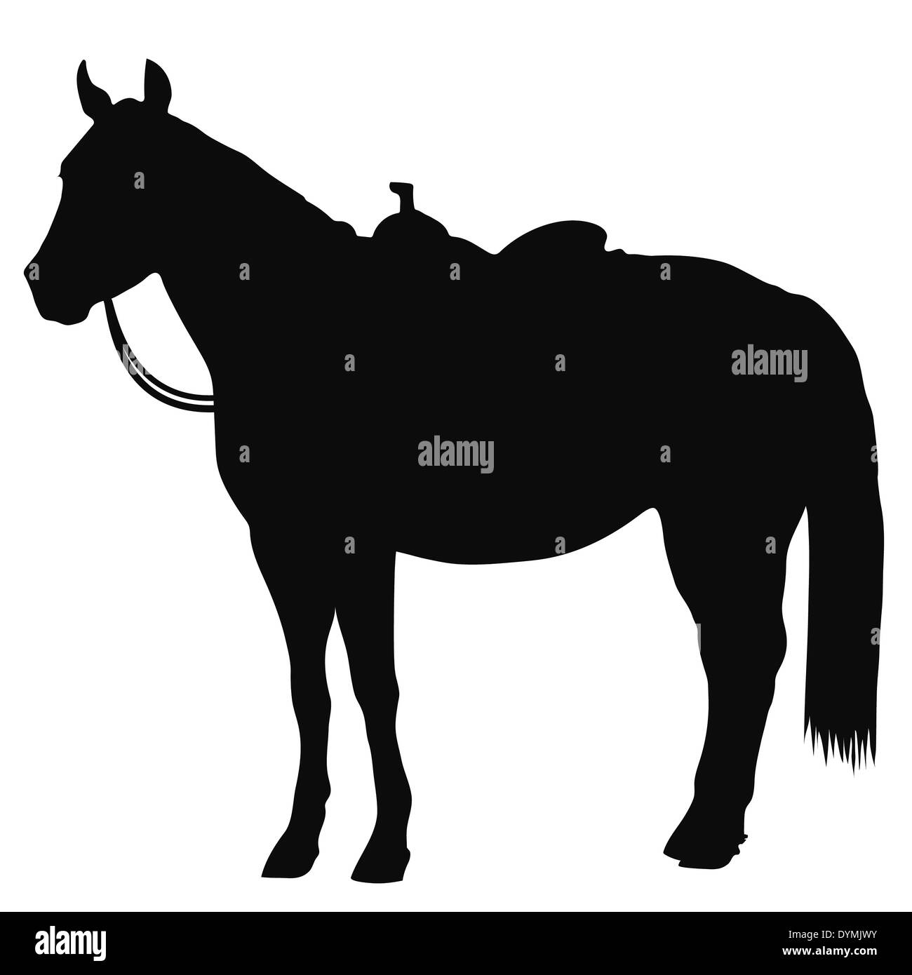 Horse Silhouette Standing High Resolution Stock Photography and Images ...