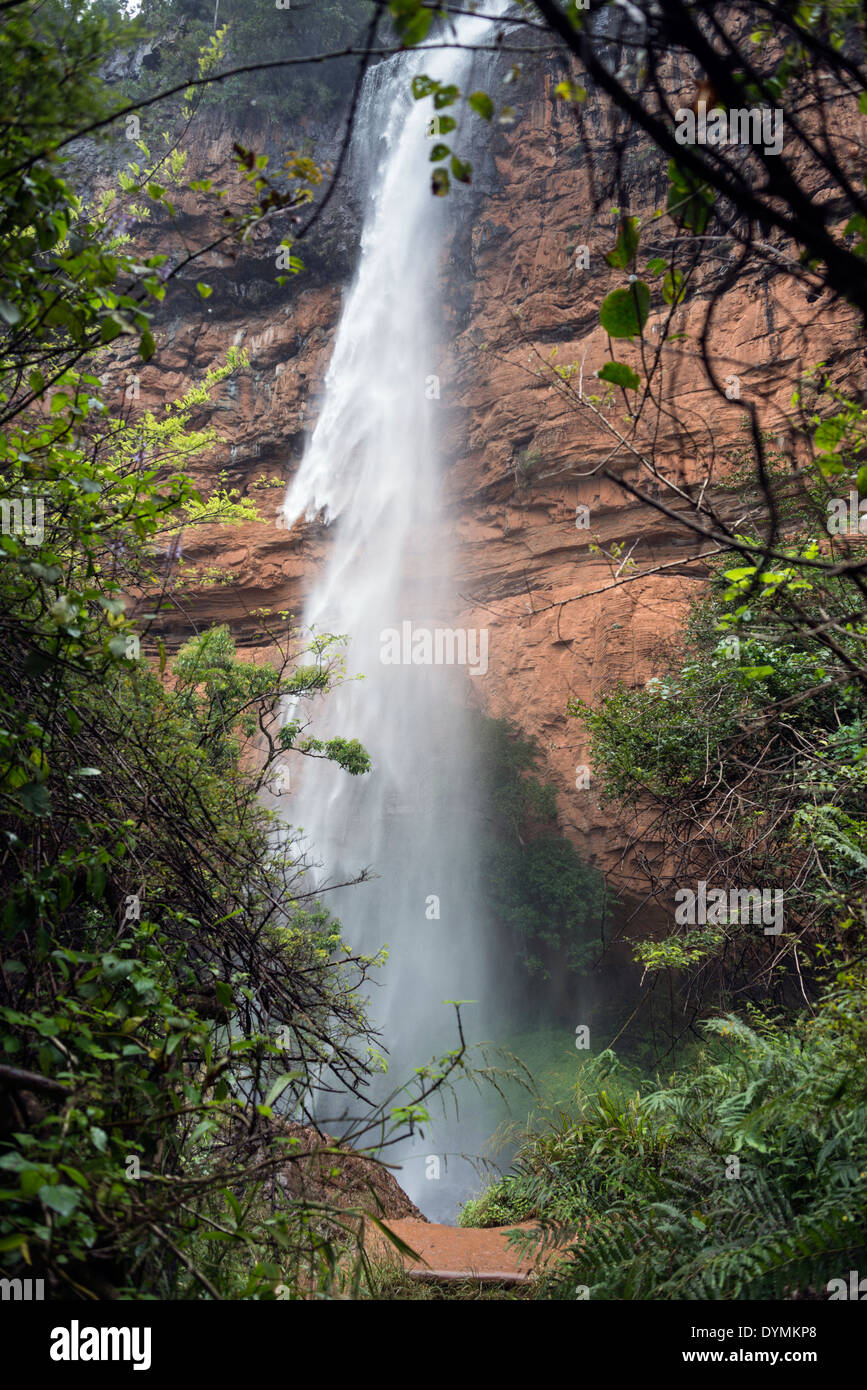 Hazyview hi-res stock photography and images - Alamy