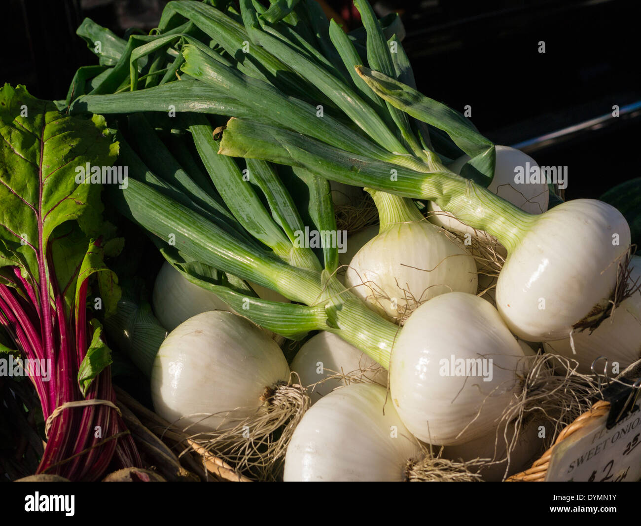 White onions at farmers market in Venice Florida Stock Photo - Alamy