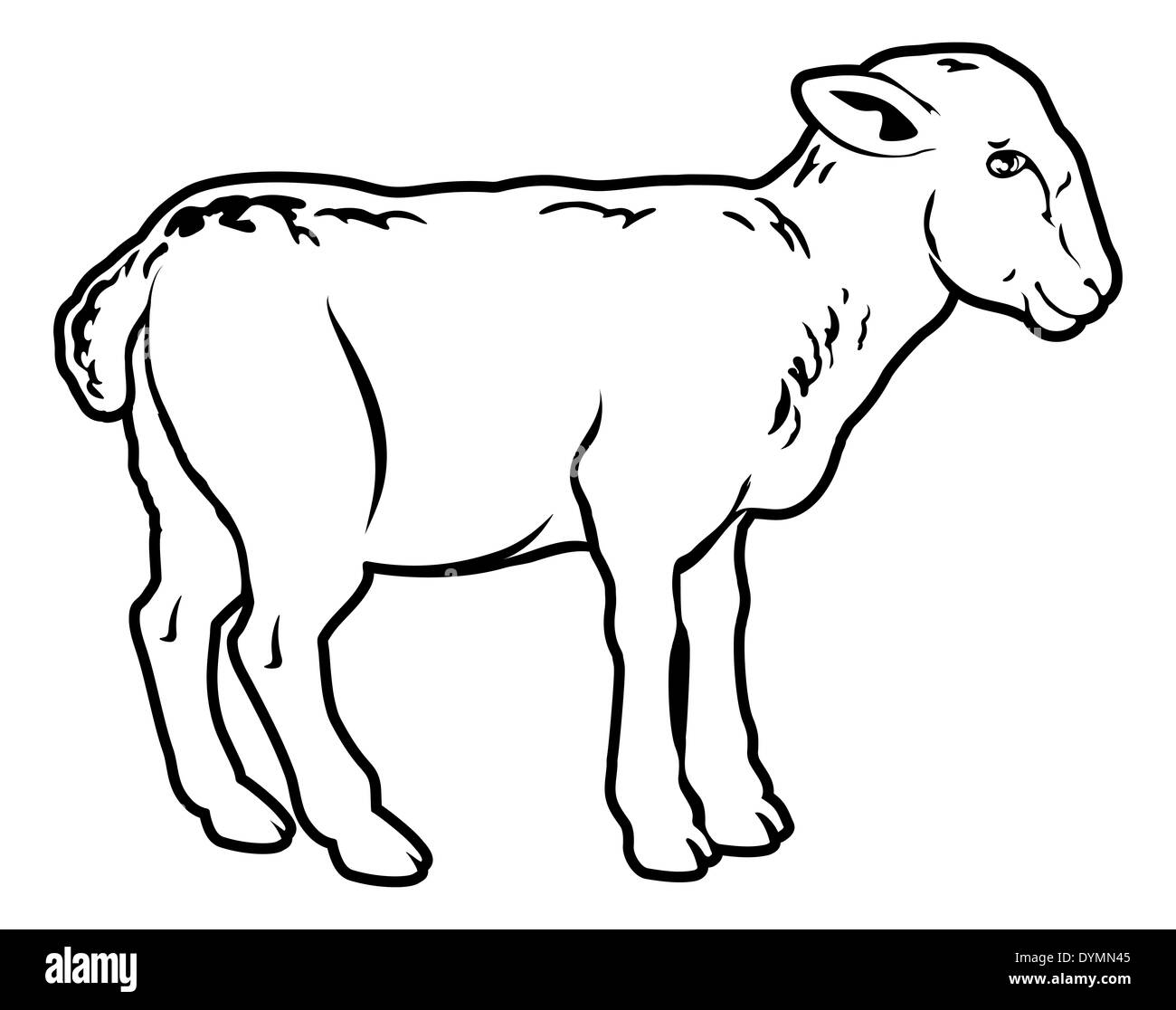 An illustration of a lamb, could be a food label or menu icon for lamb ...