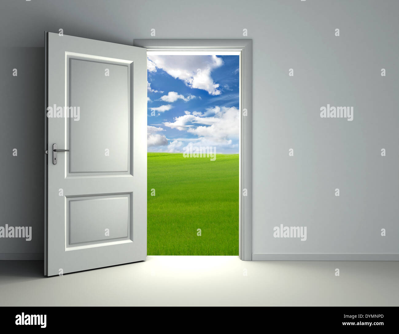 white open door inside empty room with view to green field and cloud ...