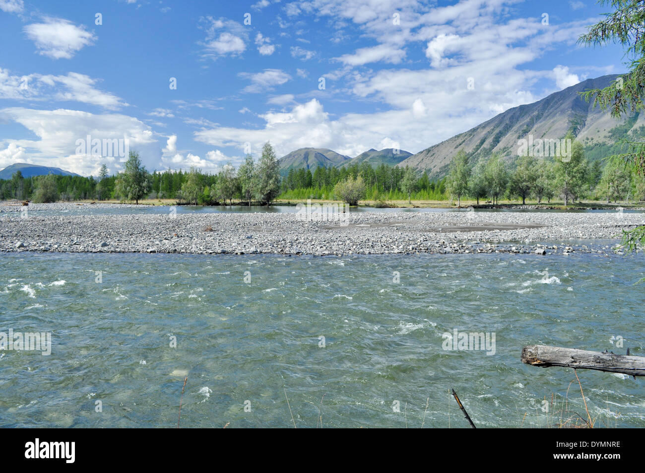 River flowing in a mountain valley. Landscape wildlife. Russia, Yakutia ...