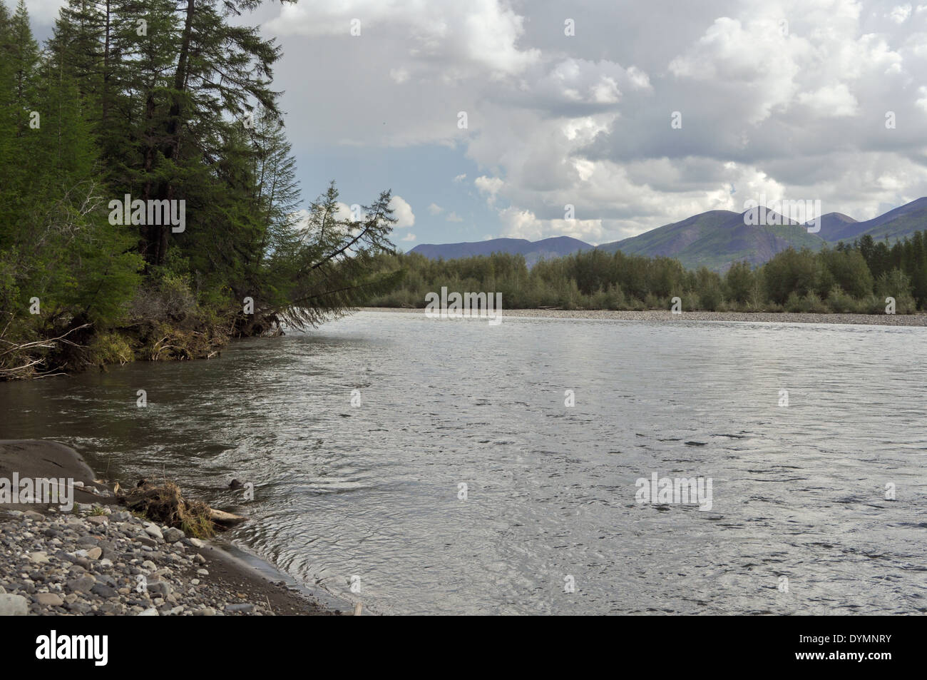 River flowing in a mountain valley. Landscape wildlife. Russia, Yakutia ...