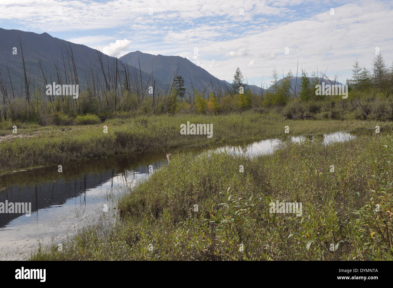 Mountain river Suntar. Landscape of the far corners of the earth in ...