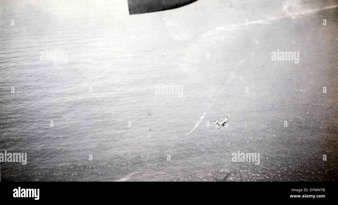 This photo shows a Curtiss F5L amphibious aircraft, once owned by BJ ...