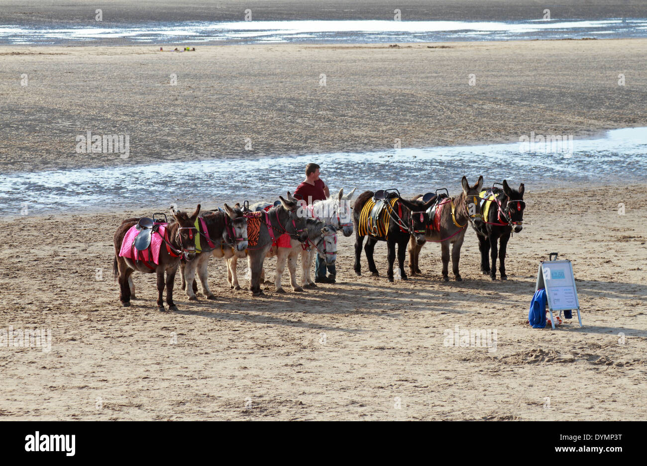 Blackpool donkeys hi-res stock photography and images - Alamy