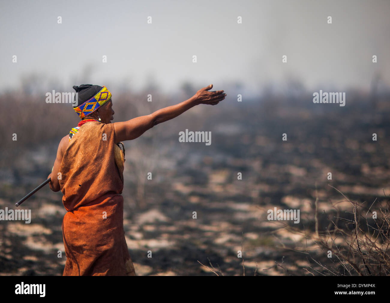 Khoisan tribe hi-res stock photography and images - Alamy