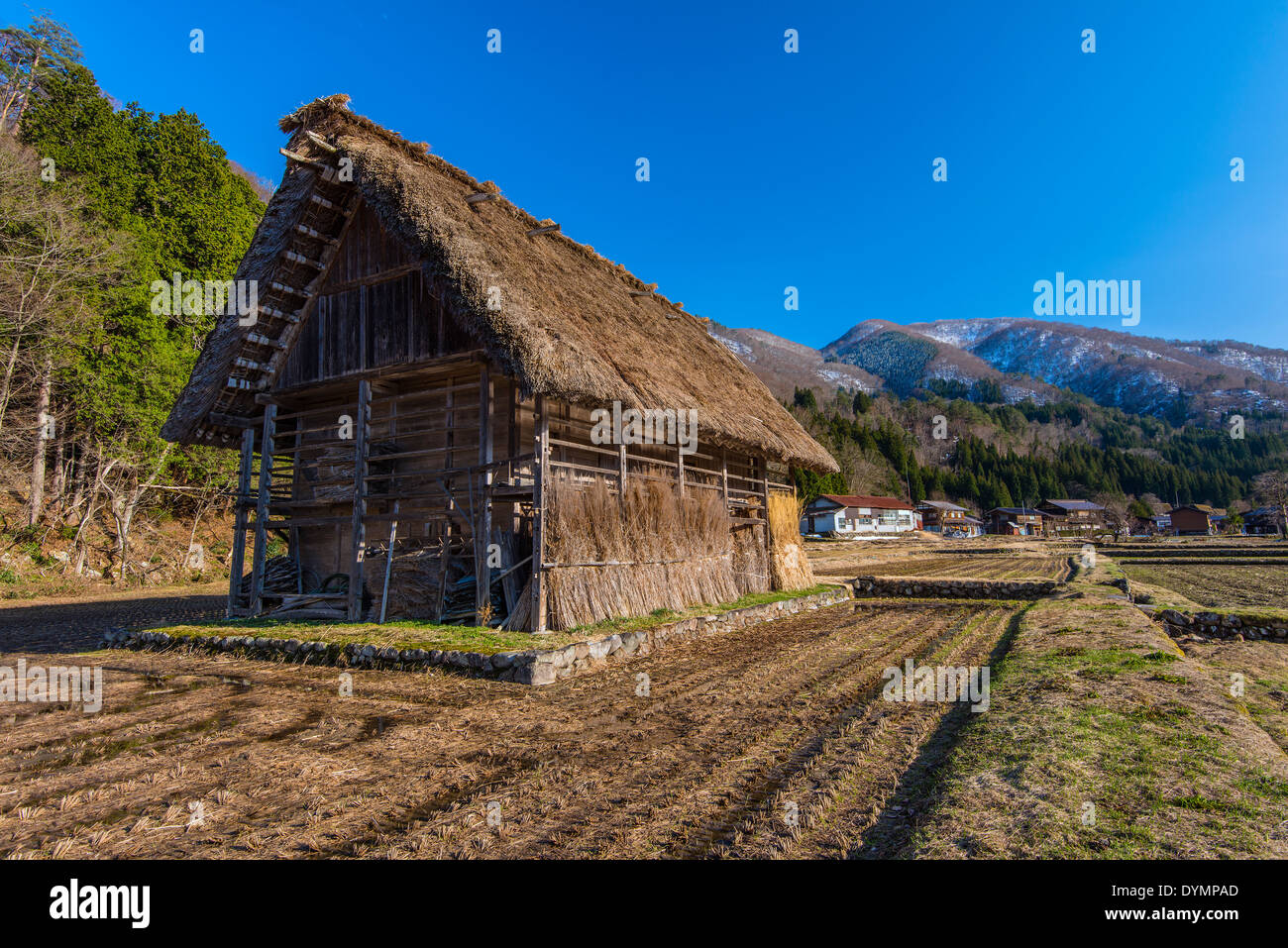 Traditional farmhouse in the rural village of Shirakawago, Gifu ...