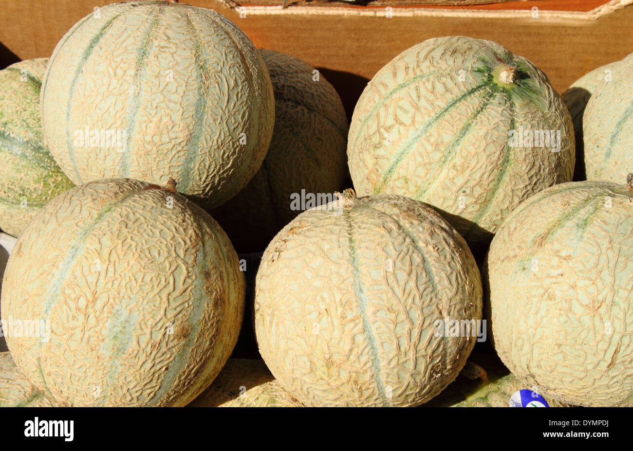Stall selling melons hi-res stock photography and images - Alamy