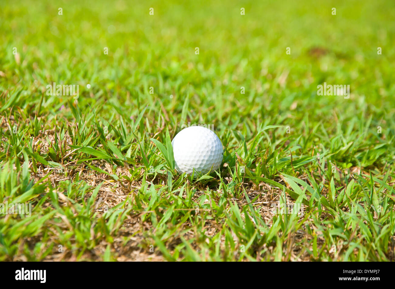 Old golf hi-res stock photography and images - Alamy