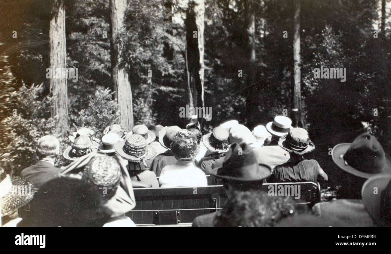 AL 1A Peterson (38 Stock Photo - Alamy