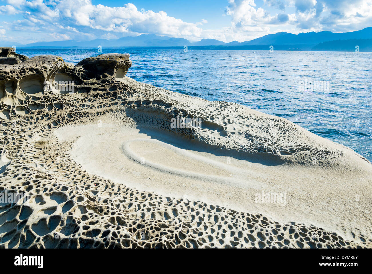 Wave eroded sandstone, Heron Rocks, Hornby Island, British Columbia ...