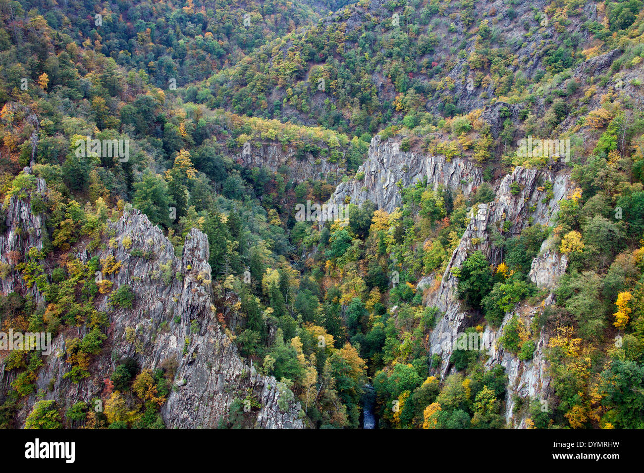 Bode river gorge hi-res stock photography and images - Alamy