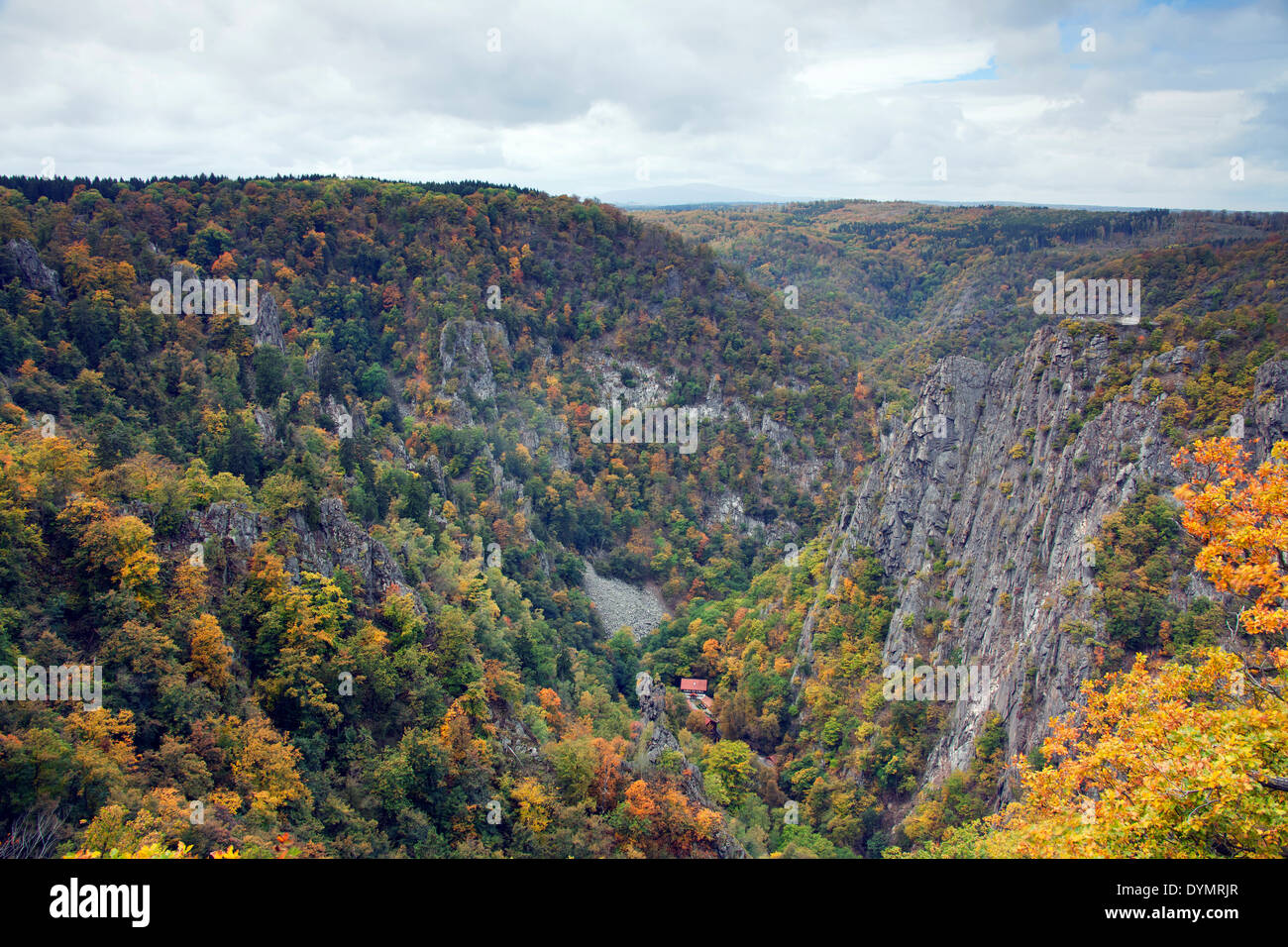 View over the river Bode in the Bodetal / Bode Valley, Harz mountains ...