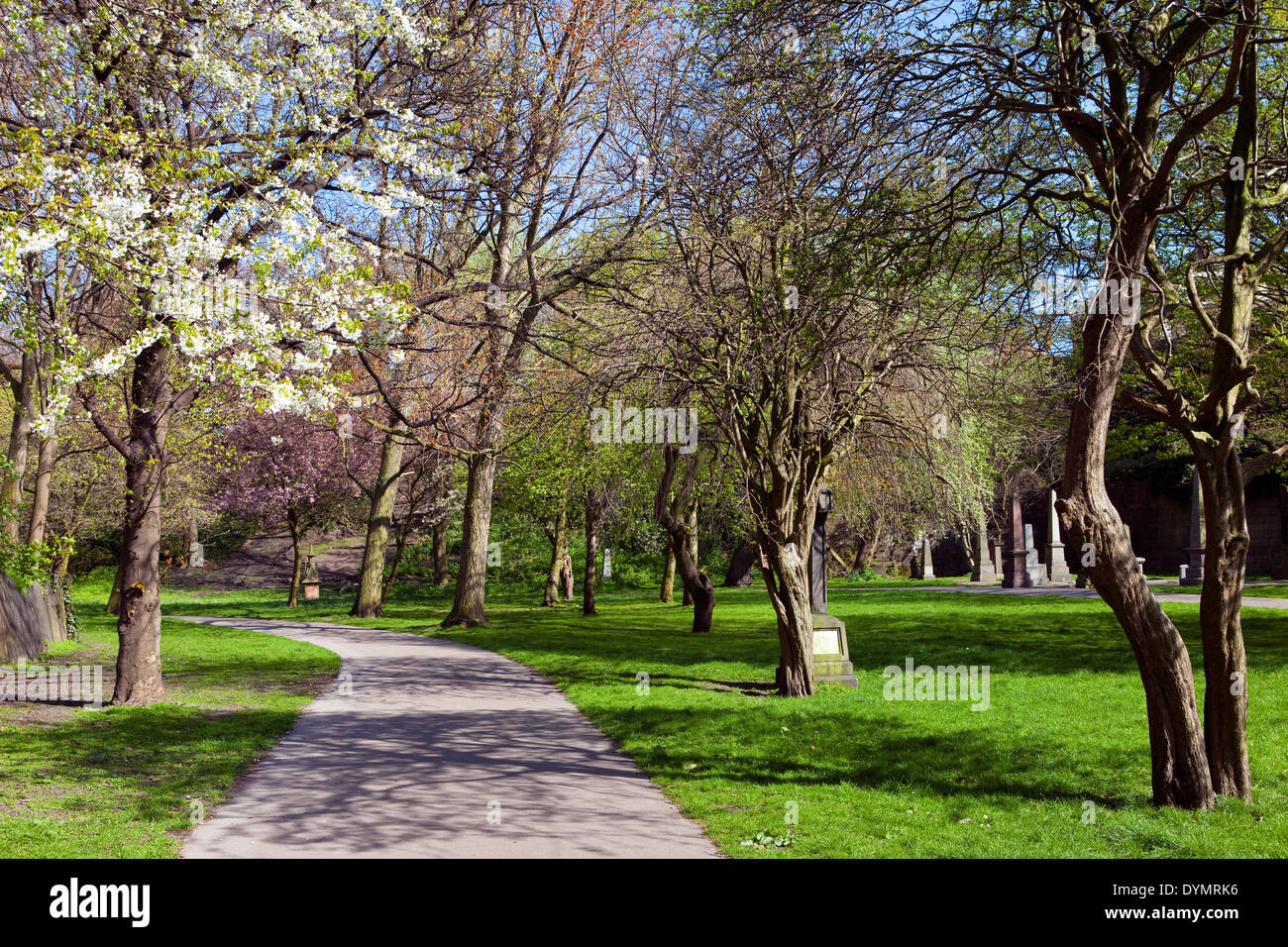 The beautiful St. James Cemetery in Liverpool Stock Photo - Alamy
