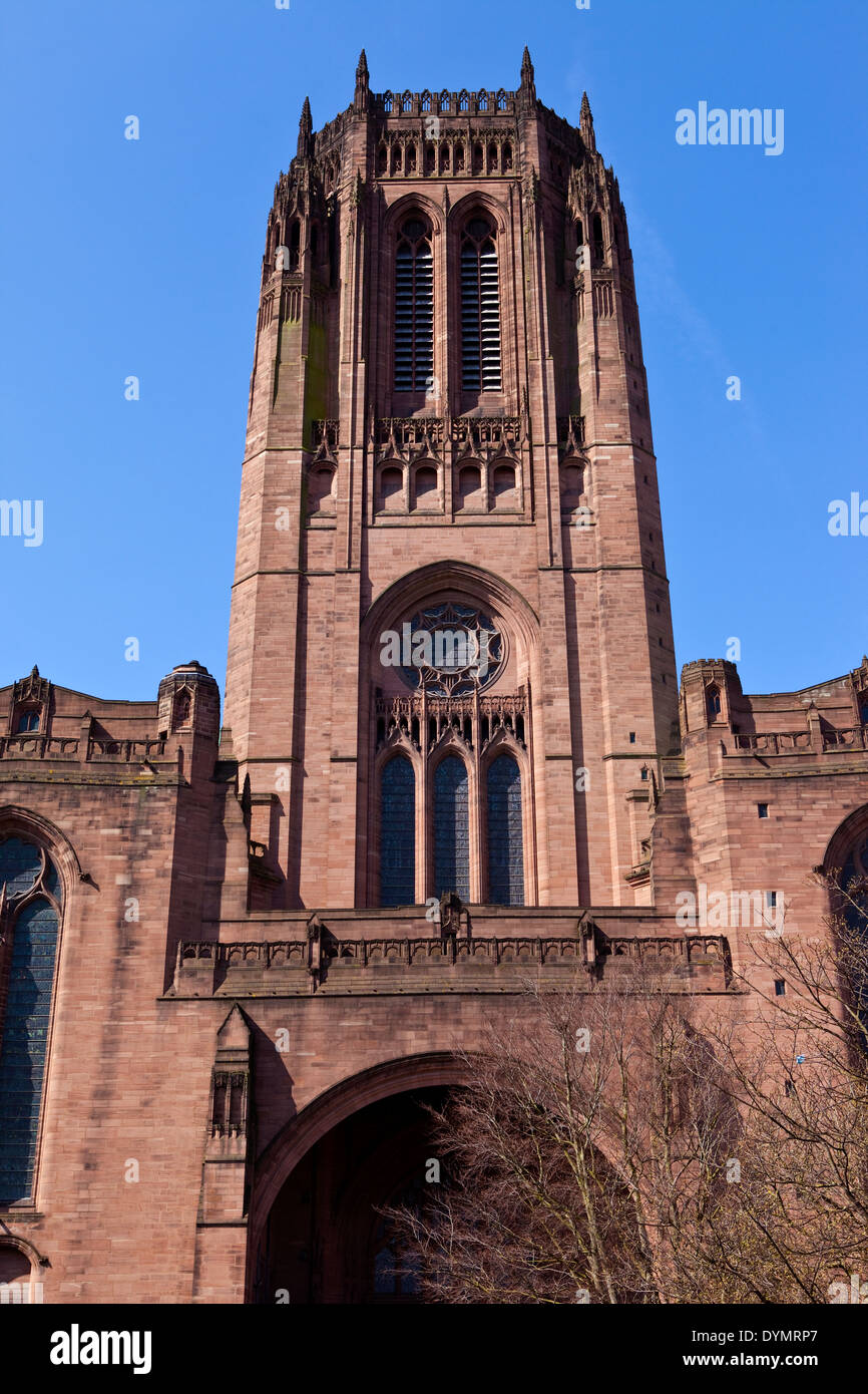 The impressive Liverpool Anglican Cathedral Stock Photo - Alamy