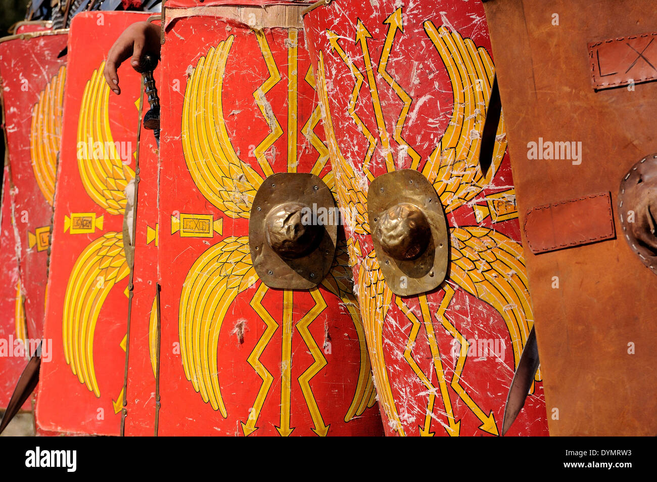 Detail of roman legion shield Stock Photo - Alamy