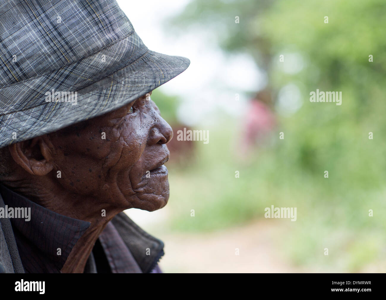 Old Bushman, Tsumkwe, Namibia Stock Photo - Alamy