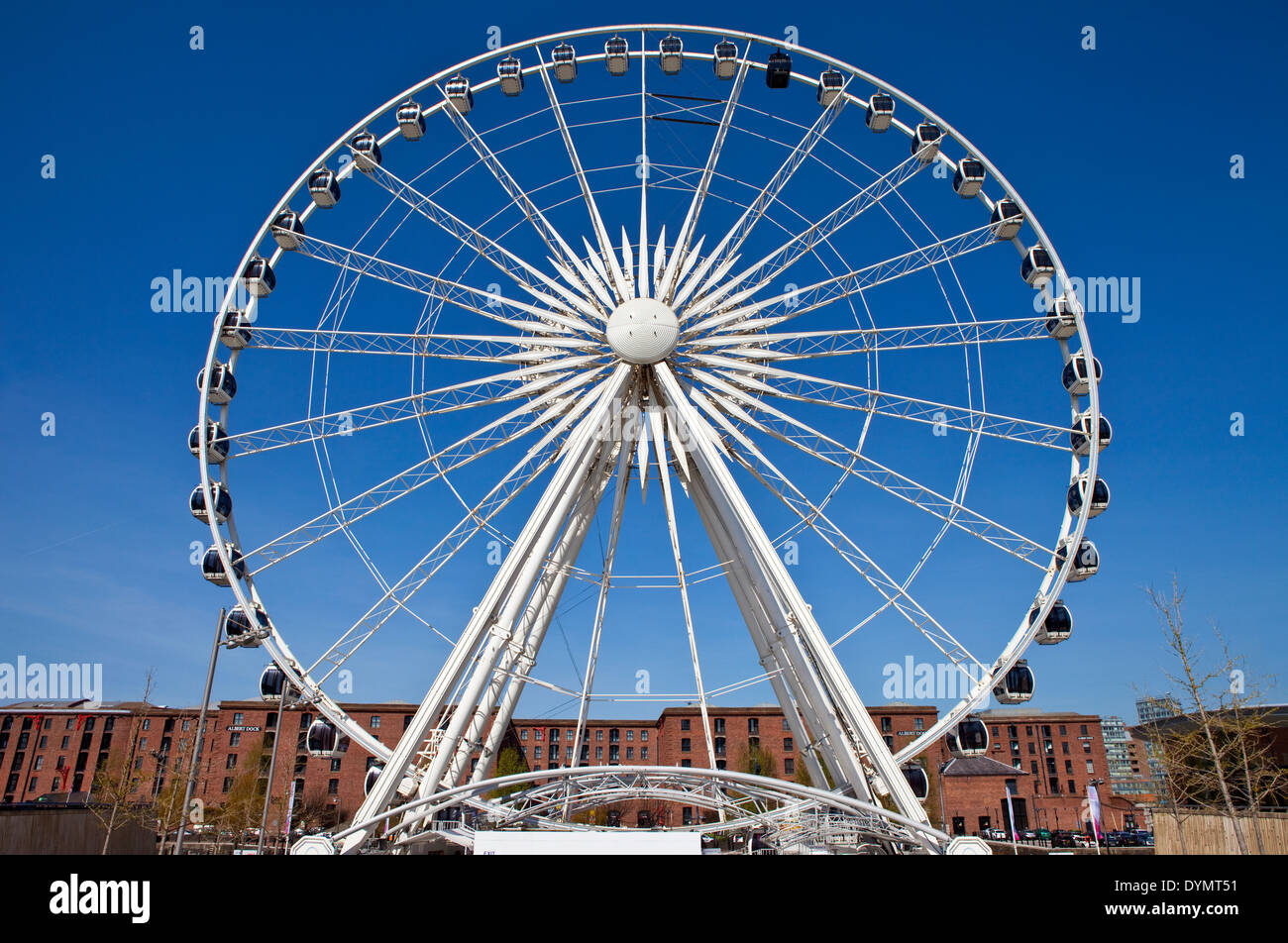 The magnificent Wheel of Liverpool with the historic Albert Docks in ...