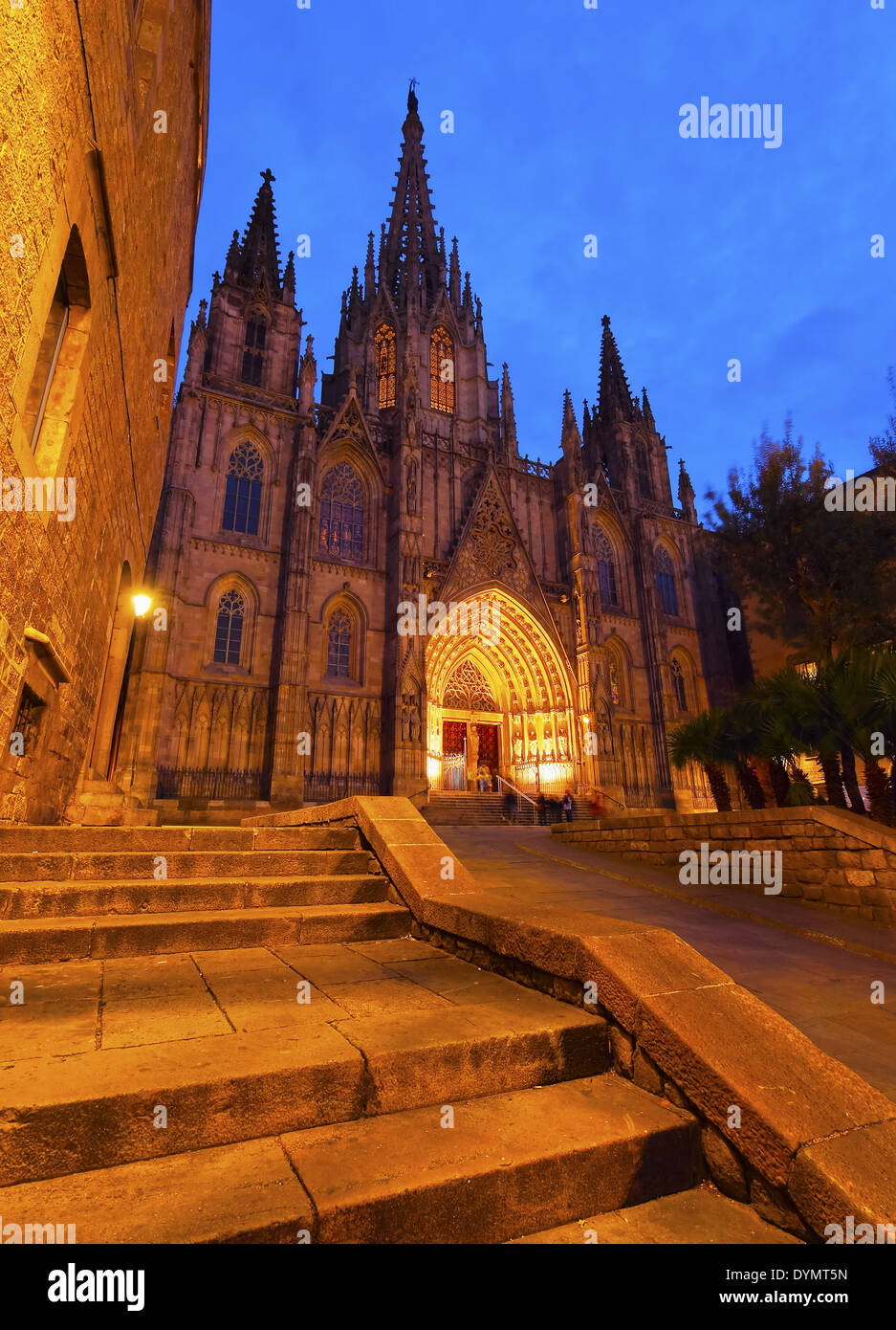 Night view of The Cathedral of the Holy Cross and Saint Eulalia in ...