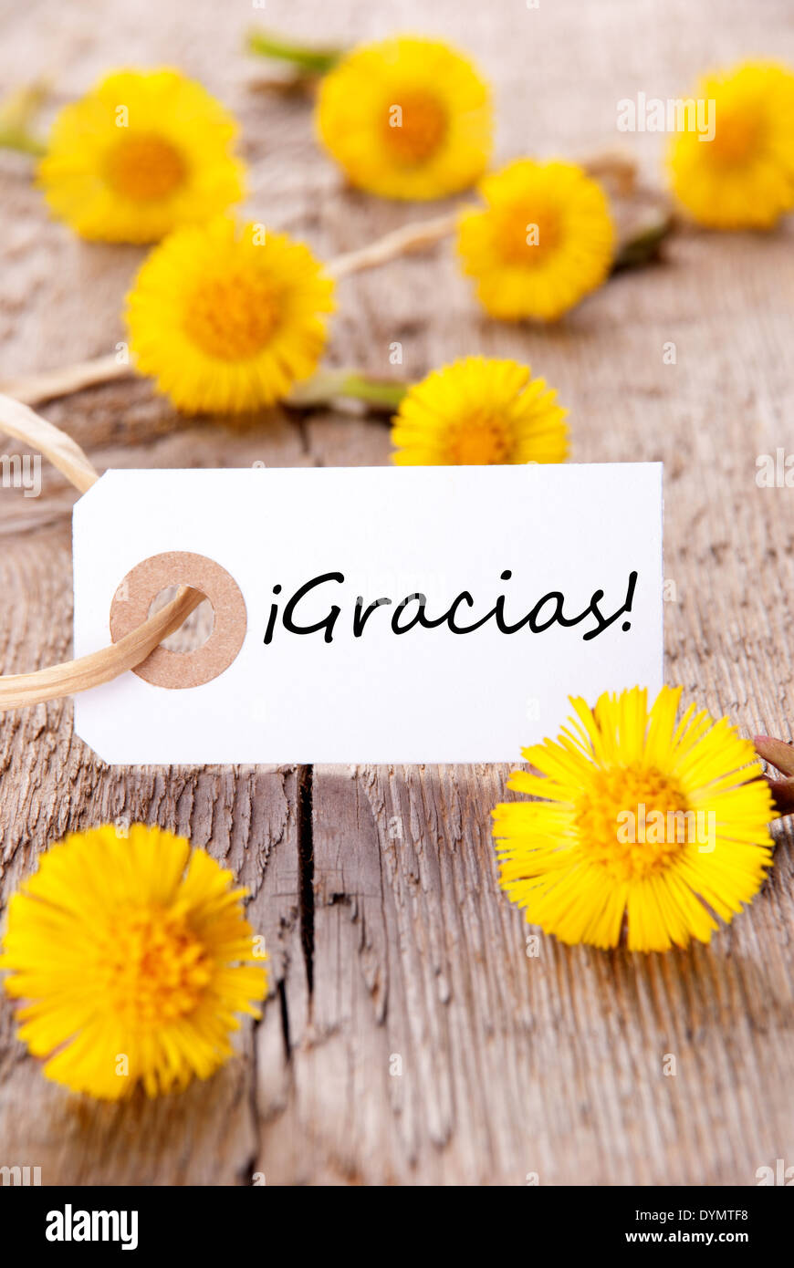 Yellow Flowers with a Tag with the Spanish Word Gracias on it which ...
