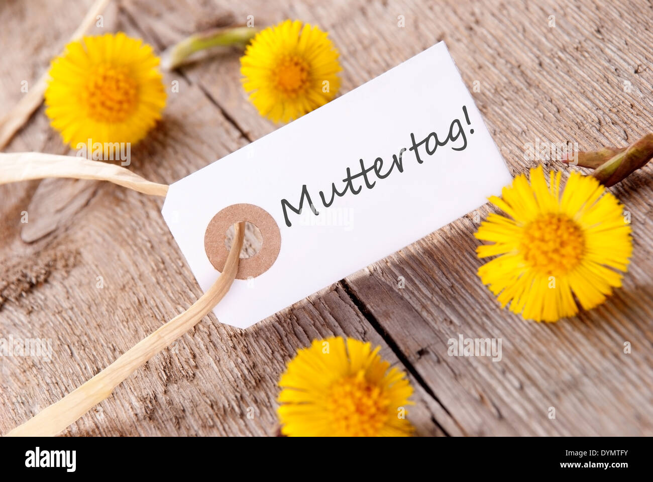 Label with the German Word Muttertag which means Mothers Day and Yellow ...