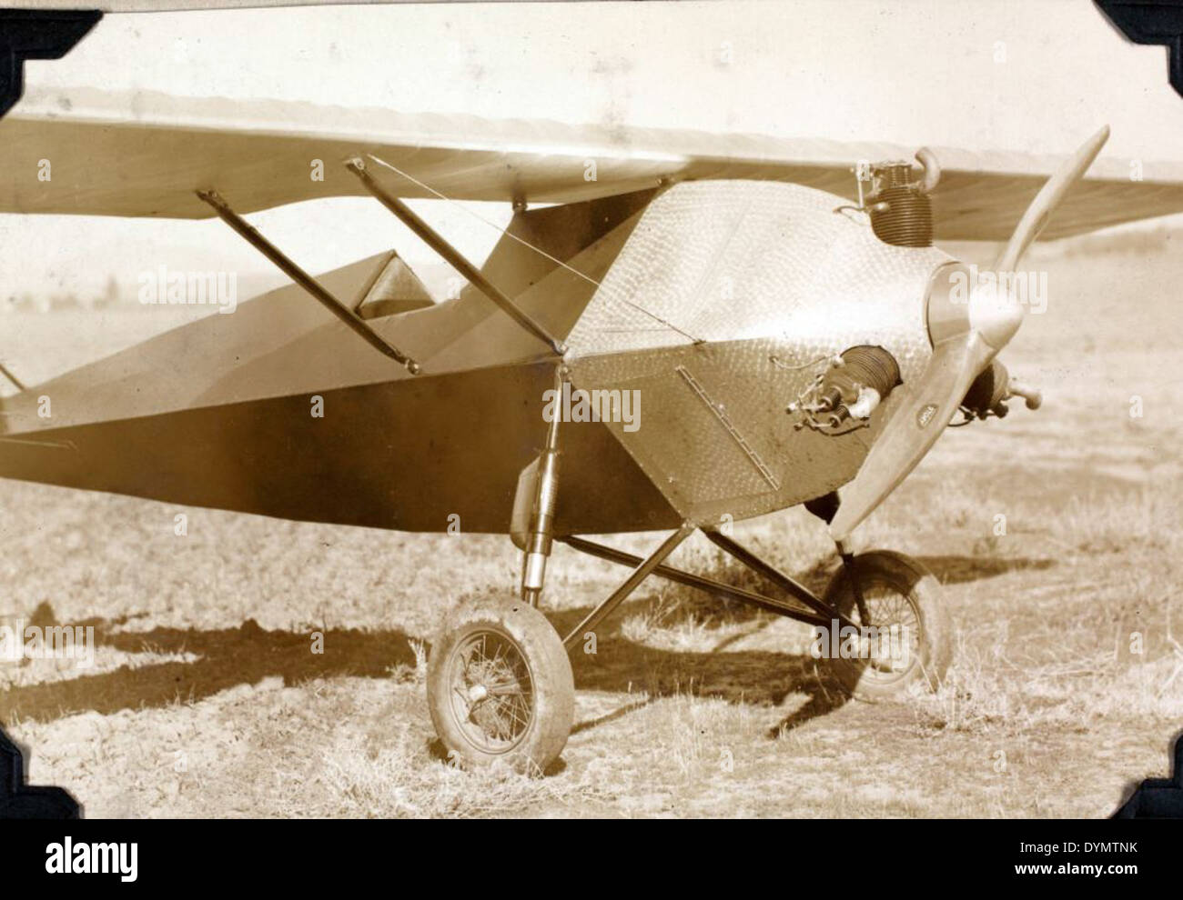 The Baby Pursuit was a small, lightweight aircraft designed during ...