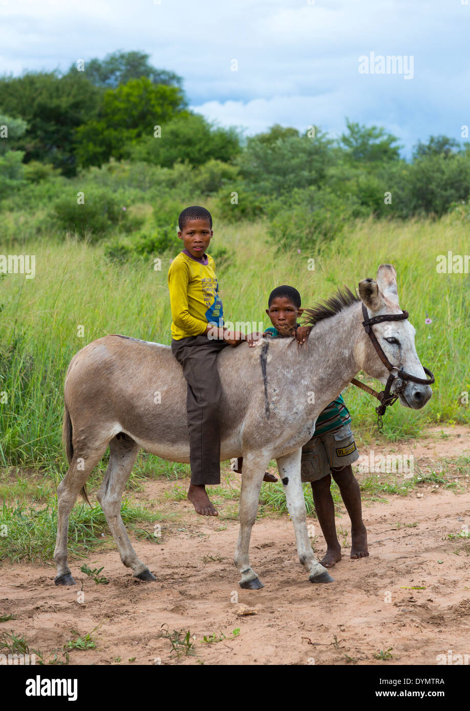 Two children with a donkey hi-res stock photography and images - Alamy
