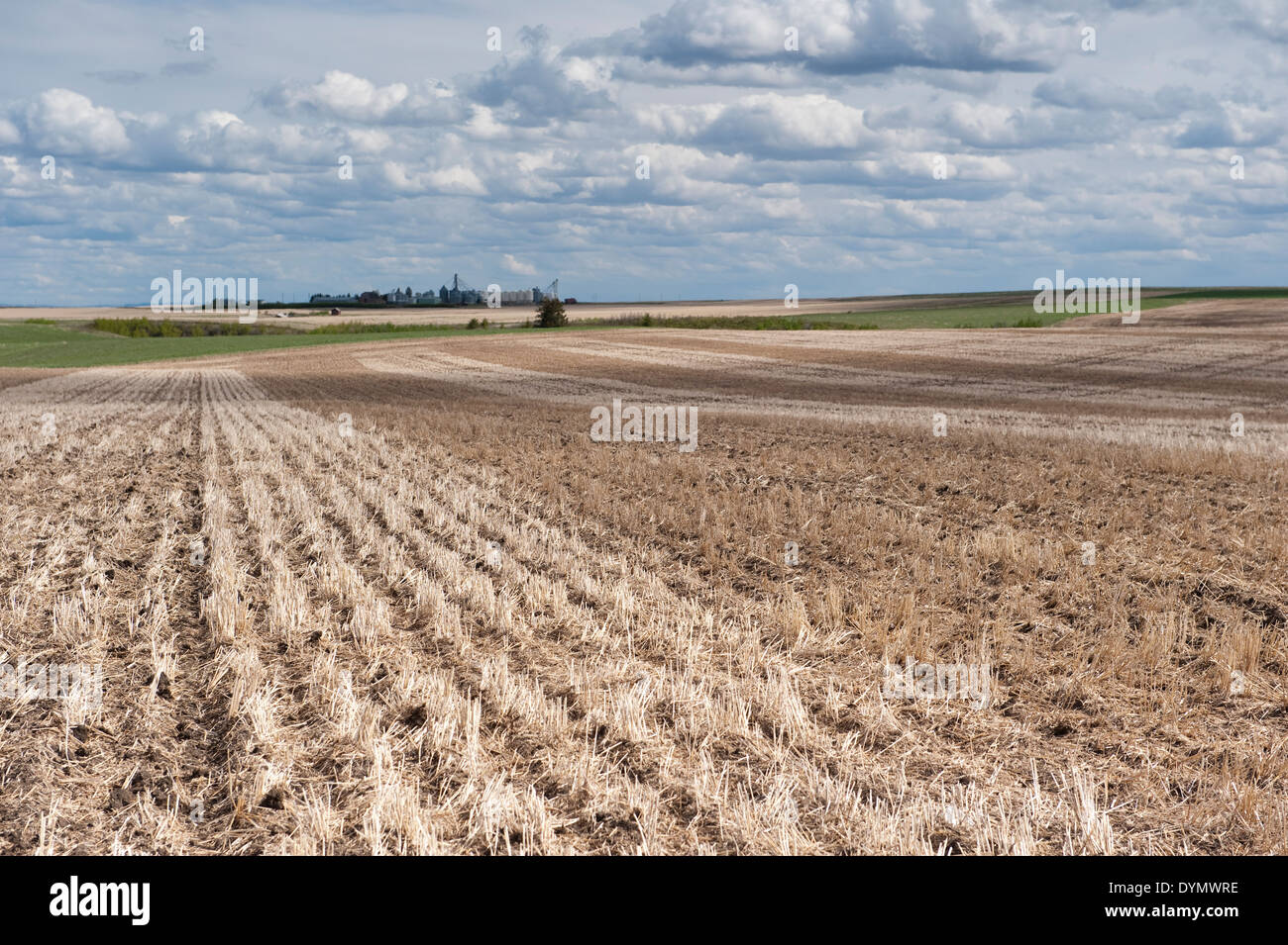 Crops prairies hi-res stock photography and images - Alamy