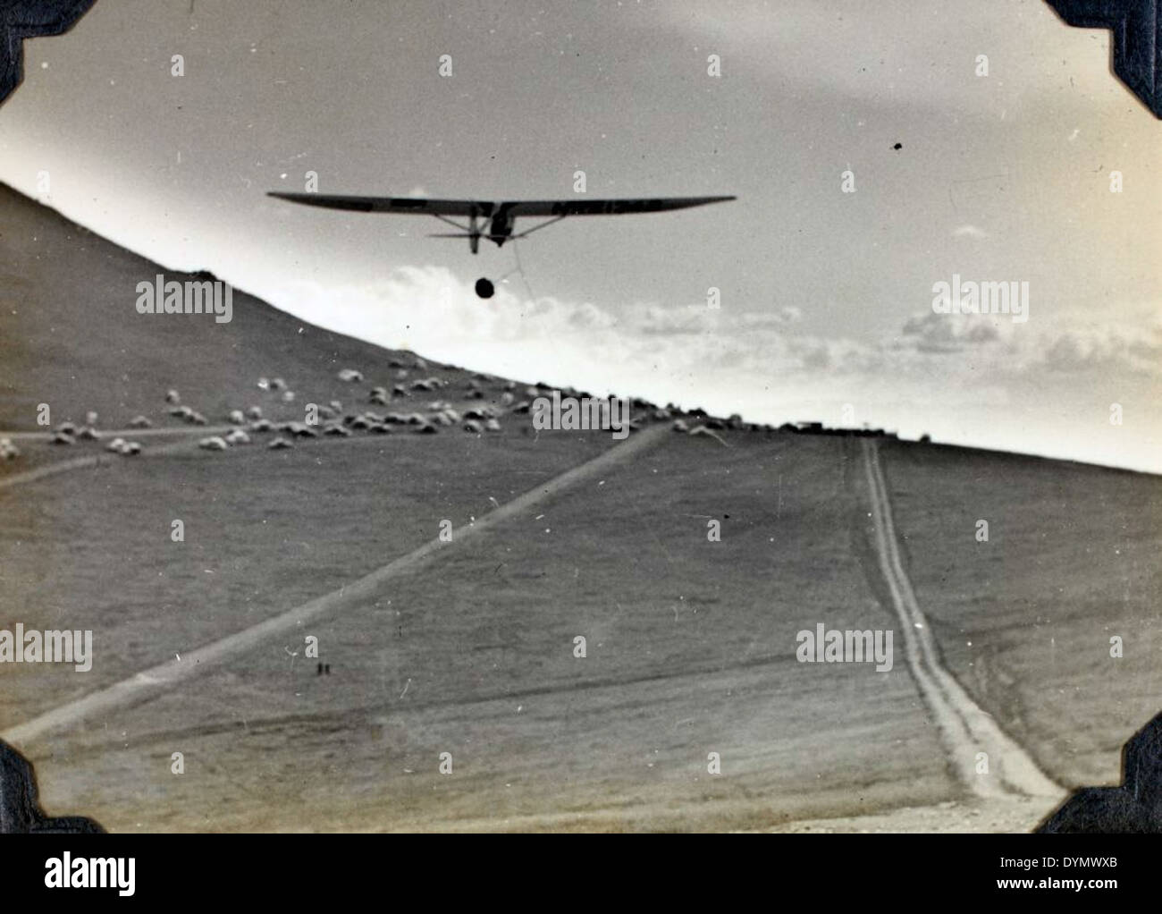 This image from the Rowell collection features gliding and soaring ...