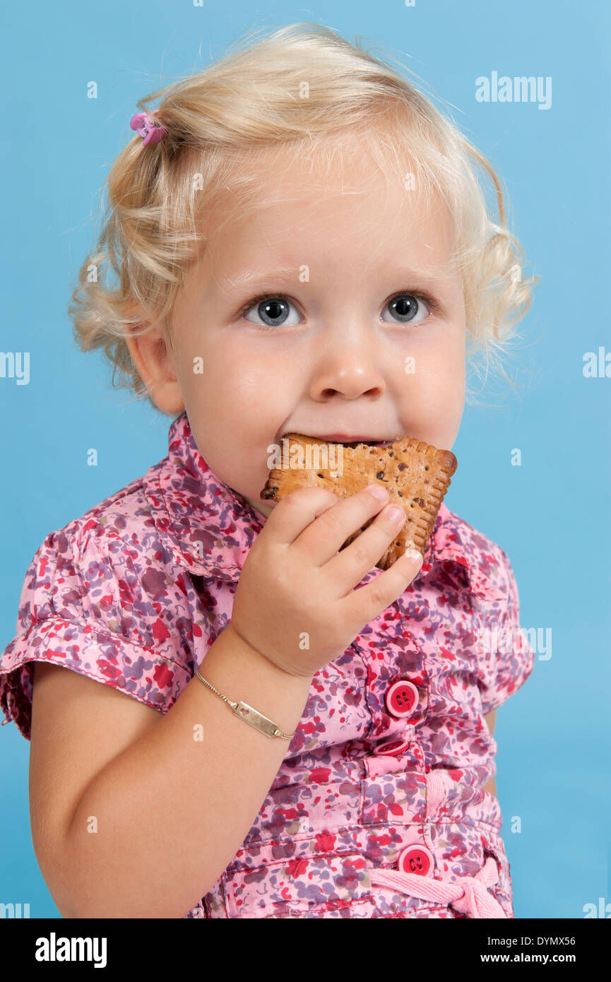 Little girl eating a biscuit. Isolated on blue background Stock Photo ...